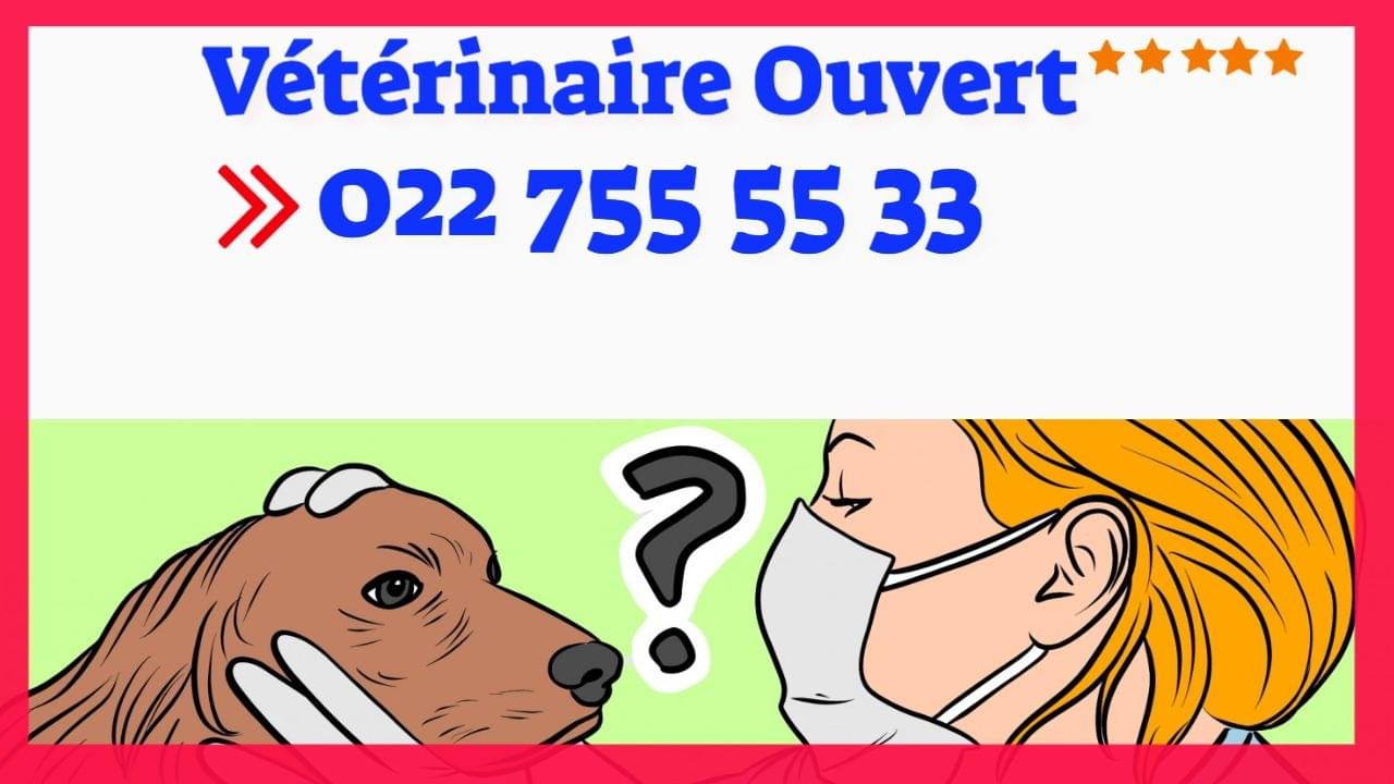 022 755 55 33 Animal Hospital Nyon Area- 15 min from Nyon's Center